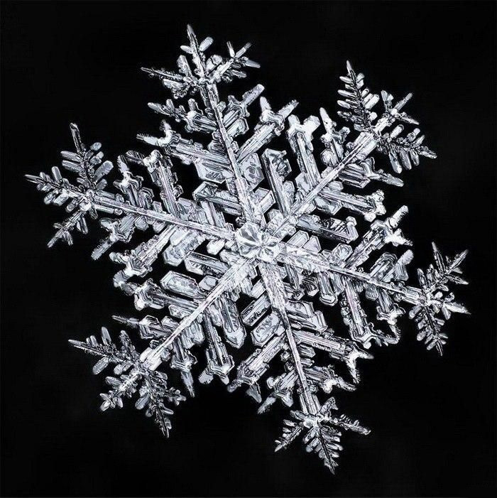 Future Scientists’ Club class: snowflakes – Joint Institute for Nuclear ...