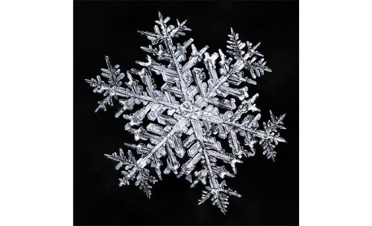Future Scientists’ Club class: snowflakes – Joint Institute for Nuclear ...